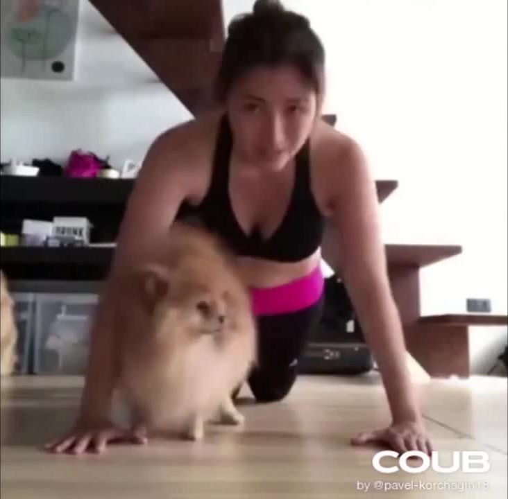 HELLO 2020 x47 - Coub