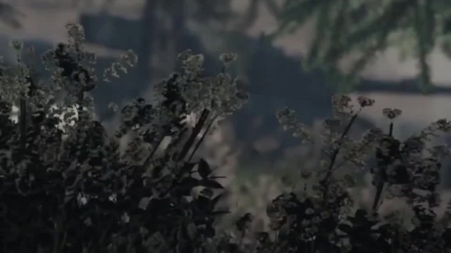 hi guys I'm back - Coub