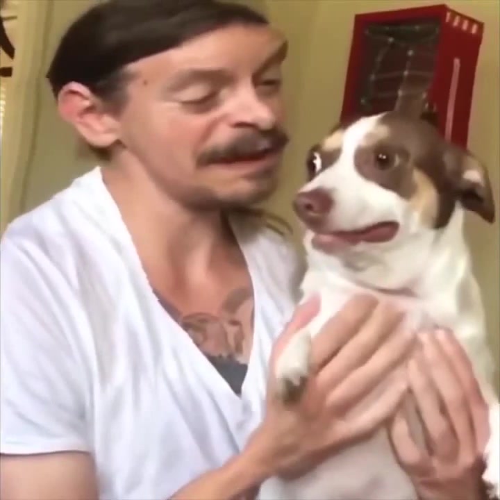 DANKEST DOGGO MEMES #2 - Coub