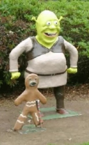 Get Shreked - Coub
