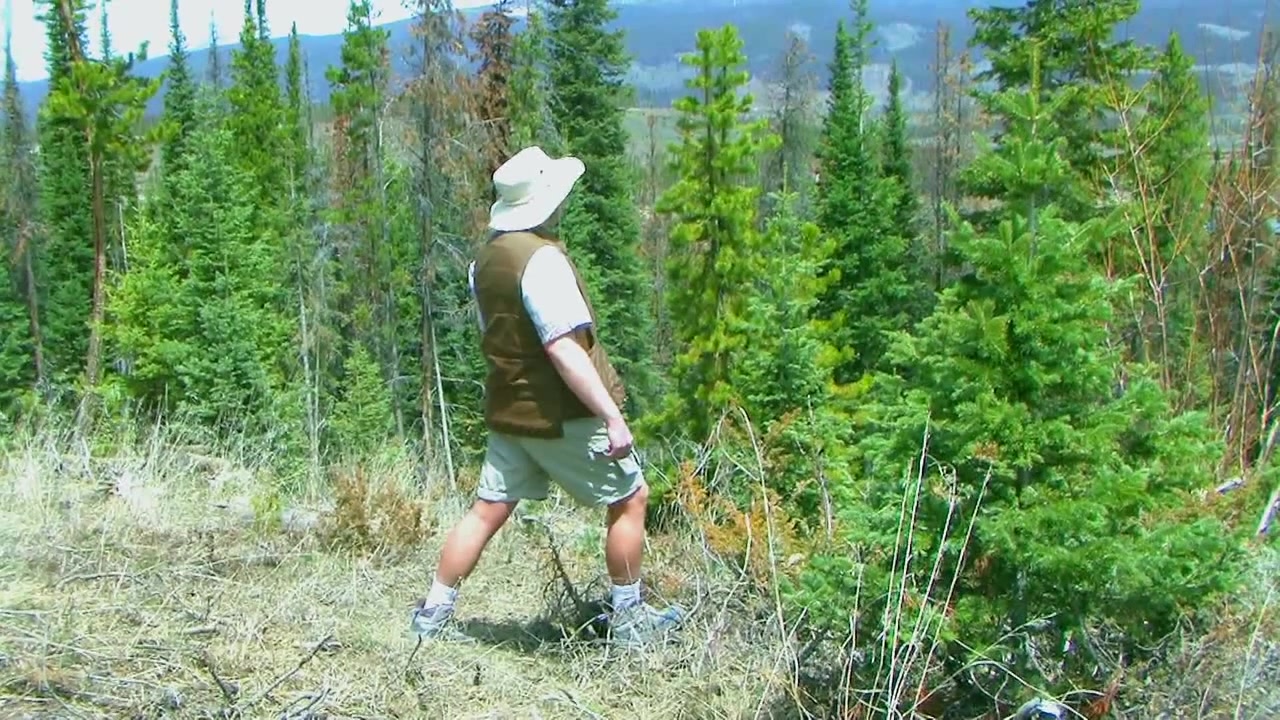 Neature Walk Pt. 6 - Coub