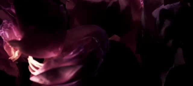 Roses (song: Kastyell - Reverse Love) - Coub