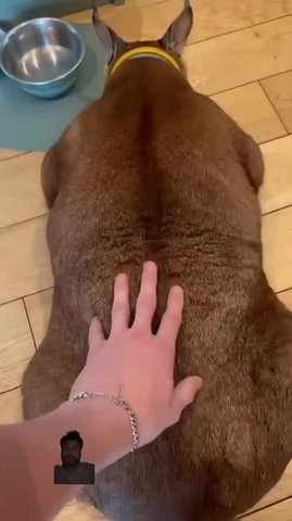 Aggressive mode - Coub