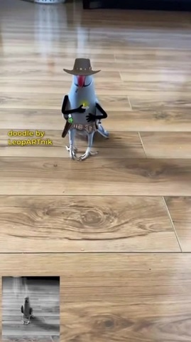 Cowboy-parrot - Coub