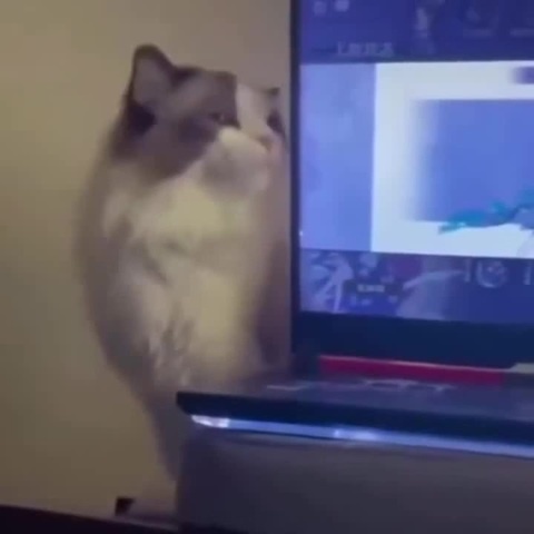 time to sleep ma boys - Coub