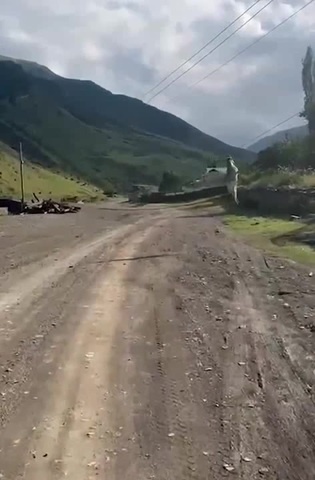 В поисках гармонии.In search of harmony. - Coub