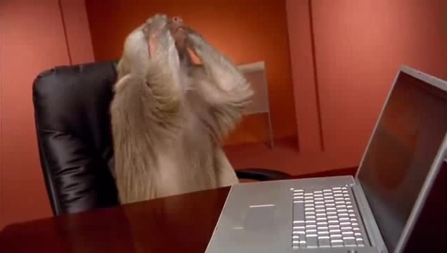 How i working hard in IT - Coub