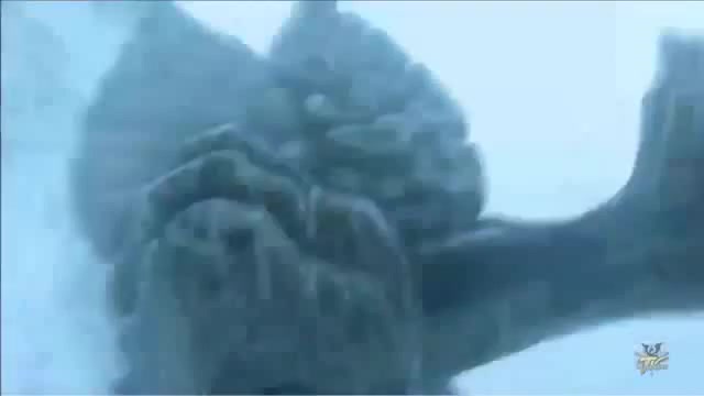 Monster Hunter Double Cross [MHXX] - Trailer # 2 - Coub