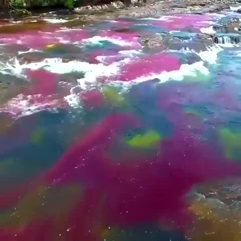 It is referred to as the "Liquid Rainbow." The color is caused by and ...