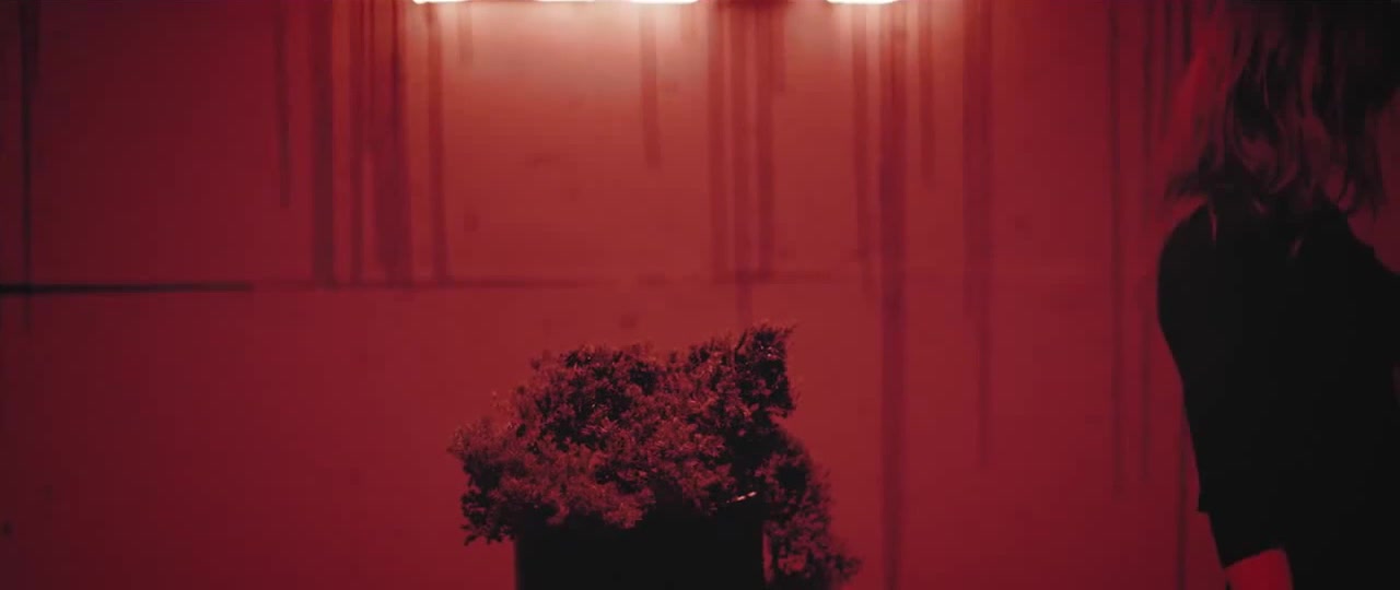 Out Came The Wolves "The Curse" - Coub