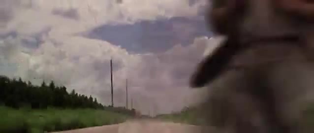 Kung fu Sonic the Hedgehog - Coub