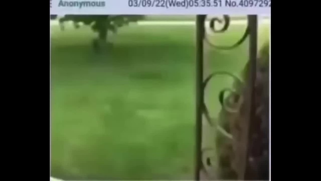 Shitpost status - Coub