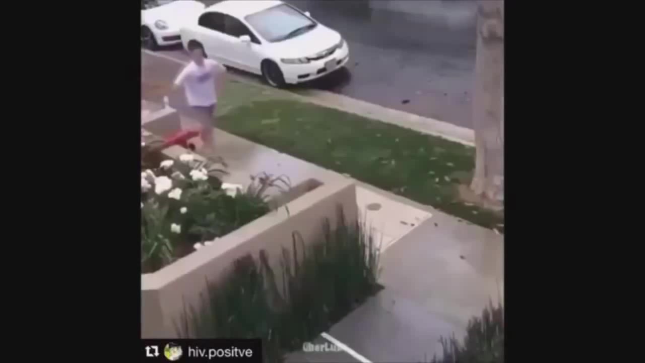 Then I saw her face (Vine thing idk) - Coub