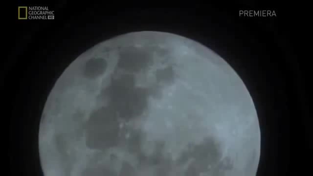 She's a wolf in mouse clothing - Coub