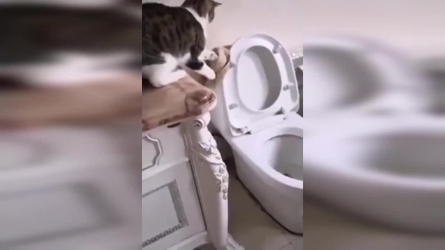 random memes compilation | ПРИКОЛЫ | BEST COUB | Best TikTok memes #8 - Coub