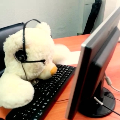 Hey brother bear - Coub