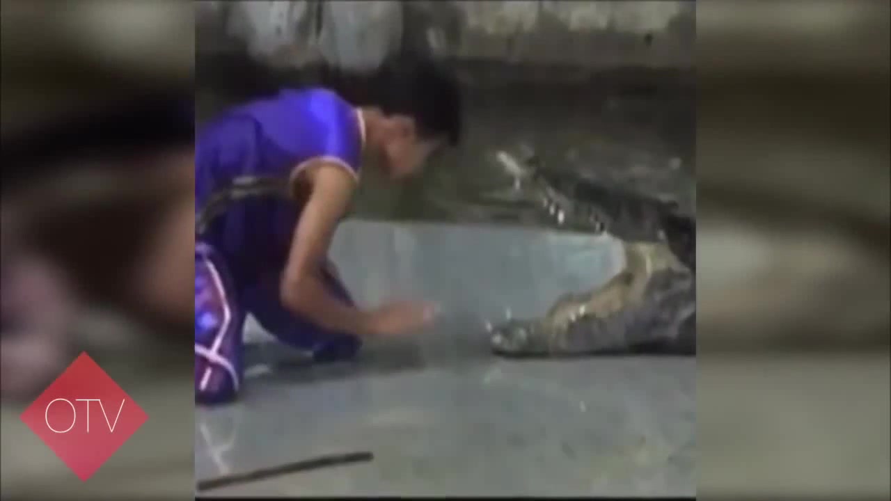 Edgy Dank Memes Compilation #5 - Coub