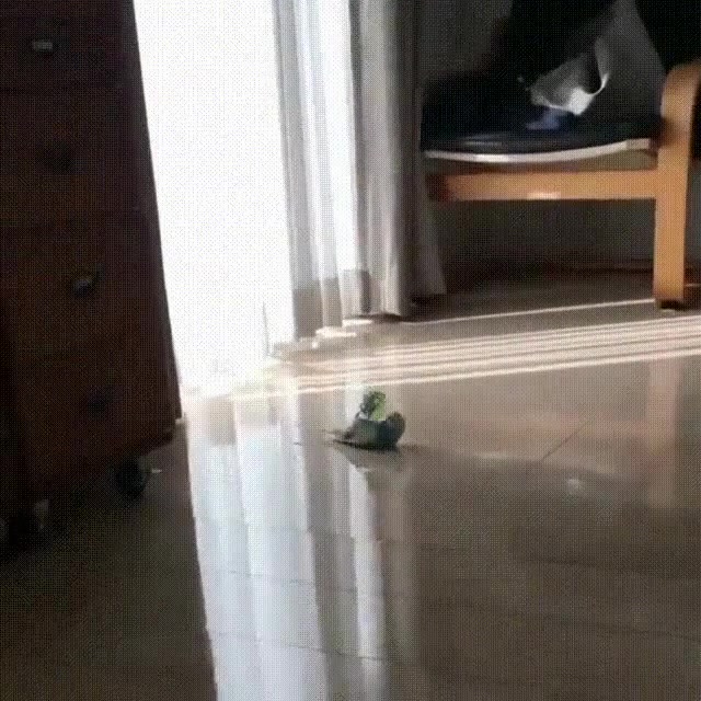 Train like a pro - Coub