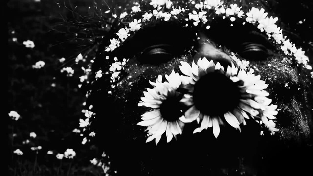 Ulver – "Ghost Entry" - Coub