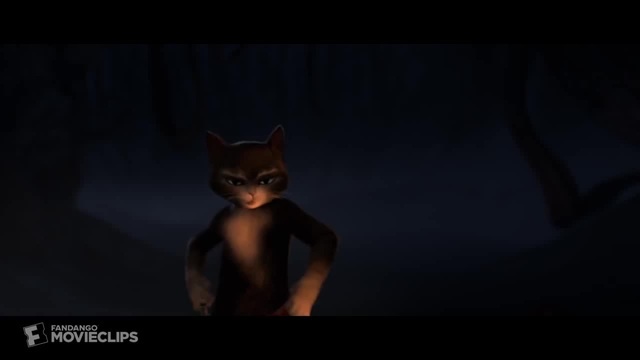 Wonderful Kitty Softpaws - Coub