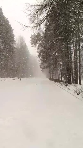 28.03.2022 весна пришла (2) / spring mood - Coub