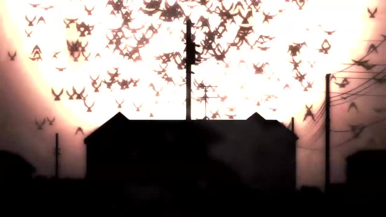 AMV Monogatari - Coub