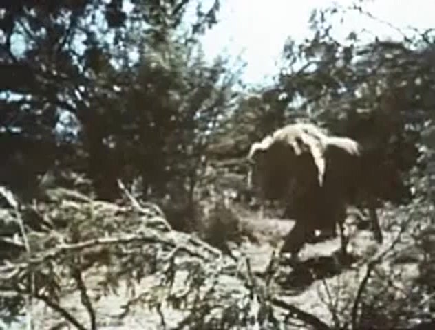 the best special effects ever 😂 - Coub