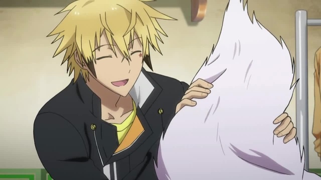 Touch Fluffy Tail - Coub