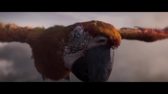 Tuesday | Official Trailer HD | A24 - Coub