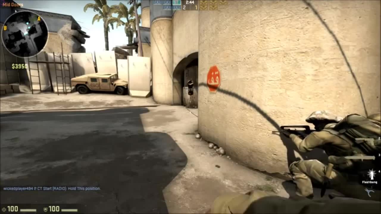 CS GO keeping it dank - Coub
