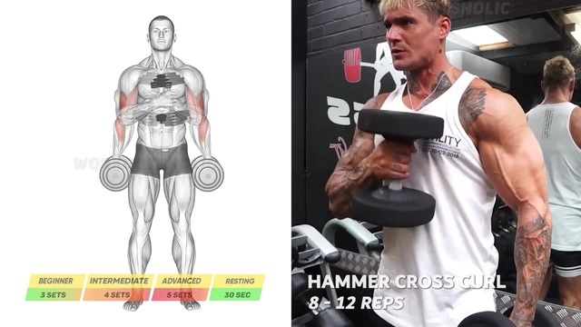 Biceps and Triceps Workout ⌈ ARM WORKOUT ⌋ - Coub