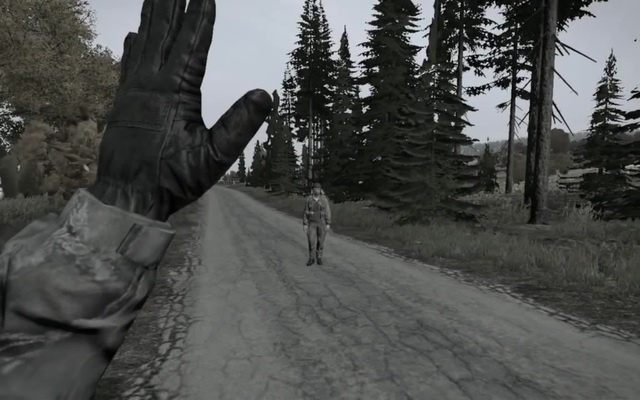 Dayz - Tried to high-five a guy coming out of Grishino - Coub