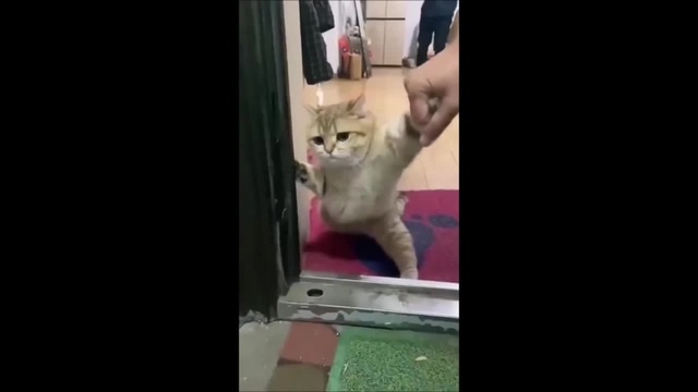 УК РФ - 57. - Coub