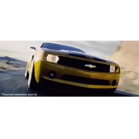Bumblebee - Coub