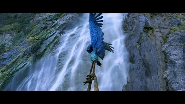 The Fox and the Bird - CGI short film by Fred and Sam Guillaume - Coub
