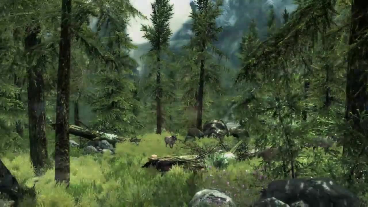 The Elder Scrolls V: Skyrim - Coub