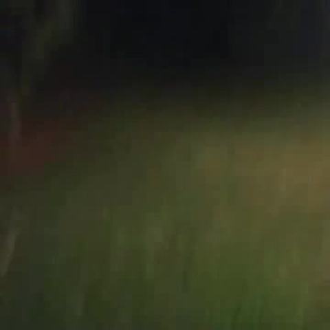 Shedding Light On The Subject! Vine by Cody Gleason ReVine King - Coub