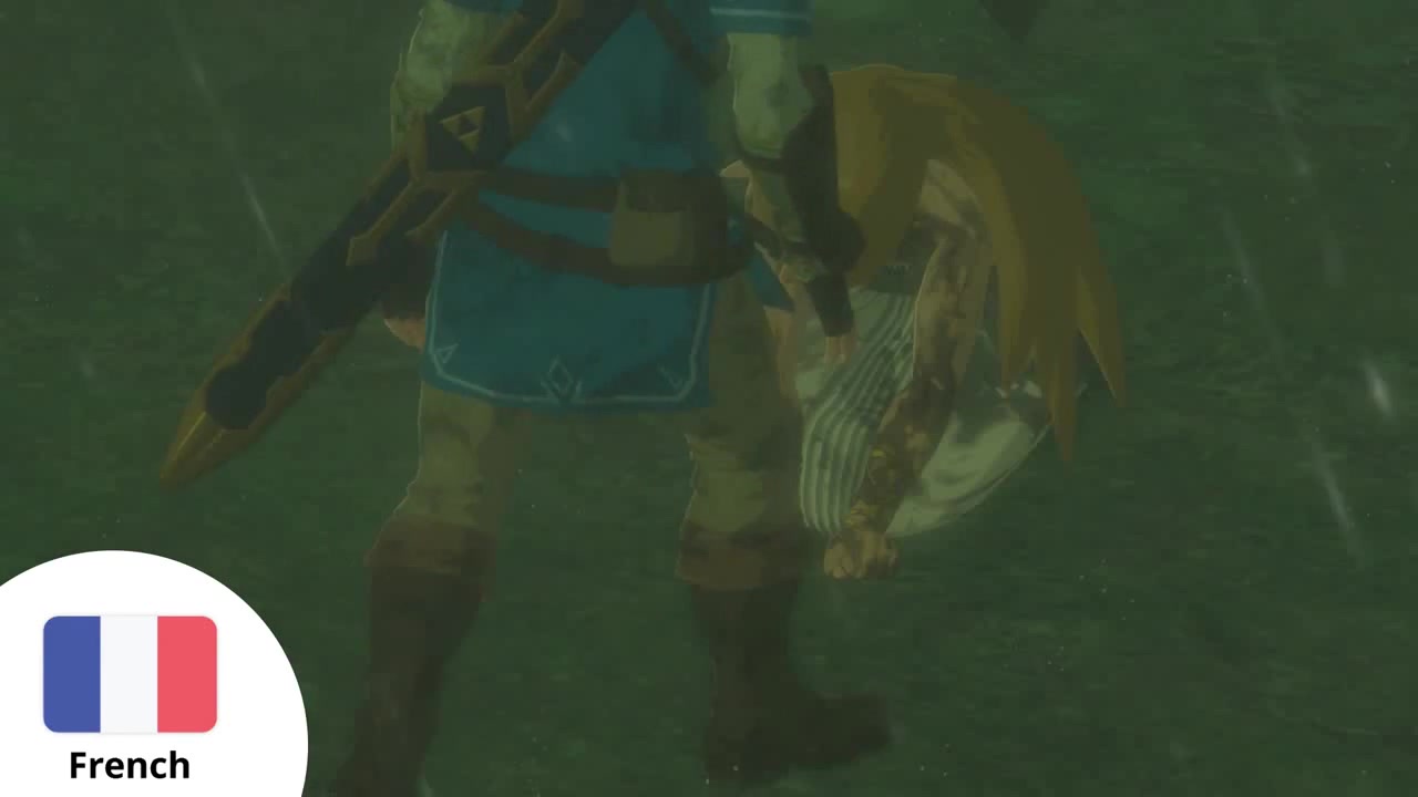 Zelda crying in 8 different languages - Zelda Breath of the Wild - Coub