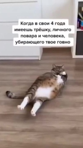 Is that enough? - Coub