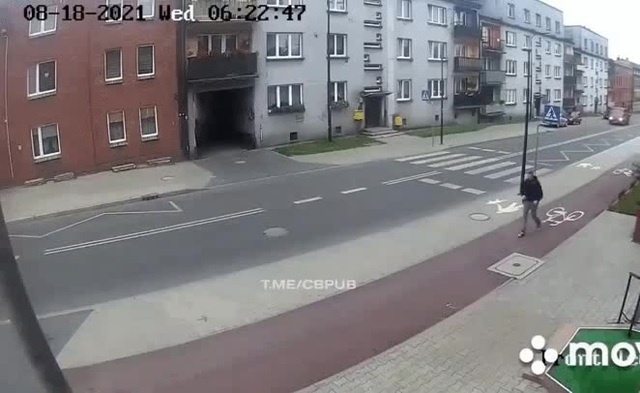 Regular Everyday - Coub