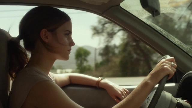 There won't be a roadside picnic, but stay off the road - Coub