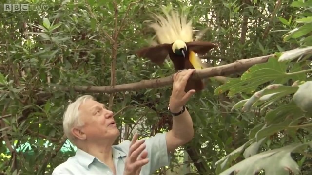 #TBsampling KyKyTempo ⚠️ - Coub