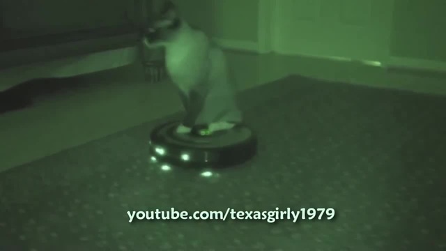 Alien Cat on UFO. (iRobot Roomba Vacuum) Roomba Cat Max-Arthur ...