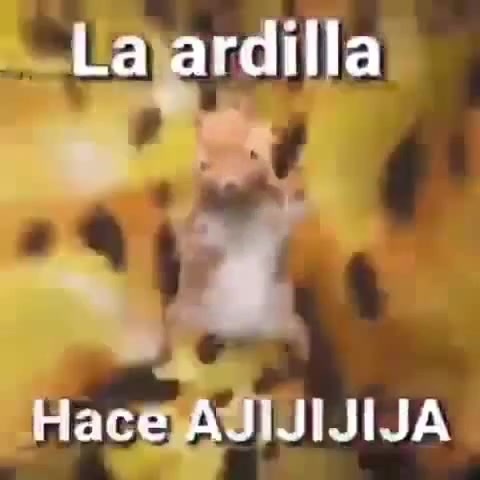 la ardilla que hace ajijijija - Coub