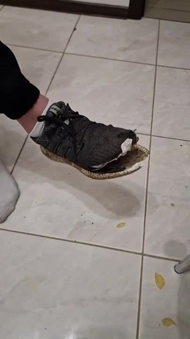 Feed me🤣🤣🤣🤣 - Coub