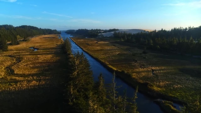 Our world (song: Kastyell - In the rain) - Coub