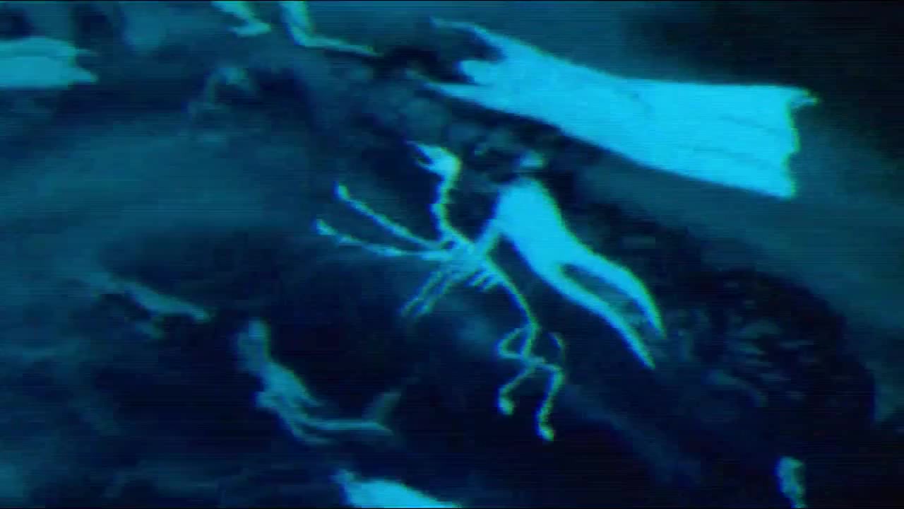 6 SENZ - FUNCTION [Prod. TOPE2DIE] - Coub