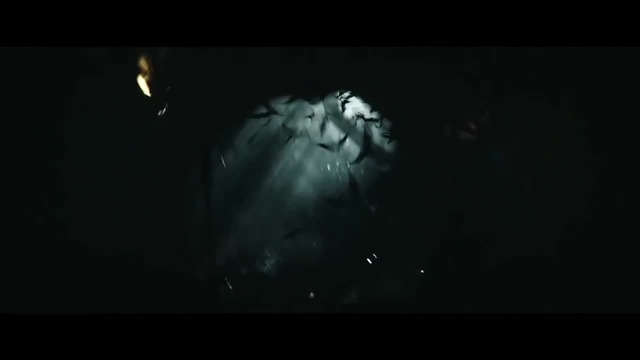 Bats of a Vampire - Coub