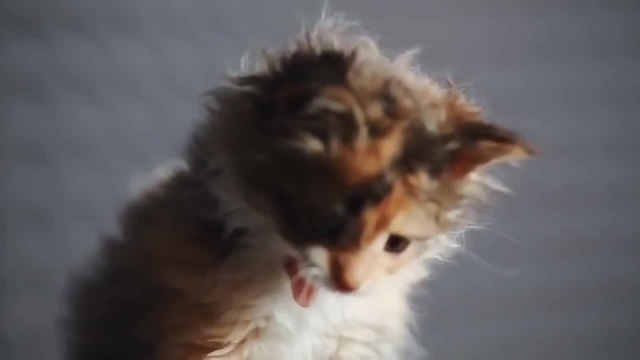 Fallzone - Never Gonna Be Alone - Coub