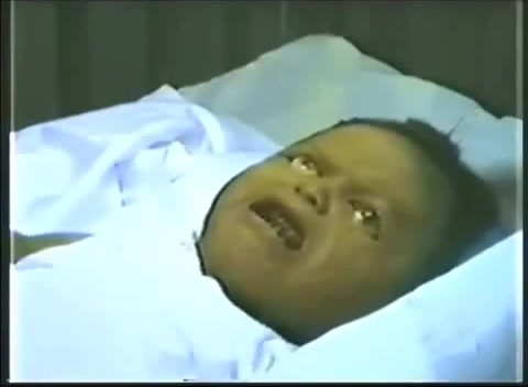 Metamorphosis - Coub